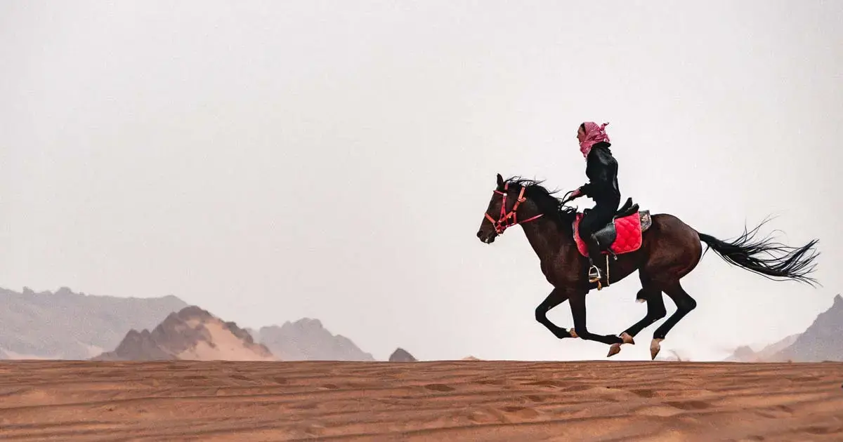 Desert Horse Riding in Riyadh – Explore the Desert on Horseback